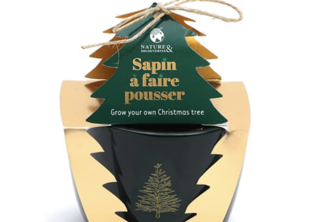 Cadeau Secret Santa : nos idées originales à offrir